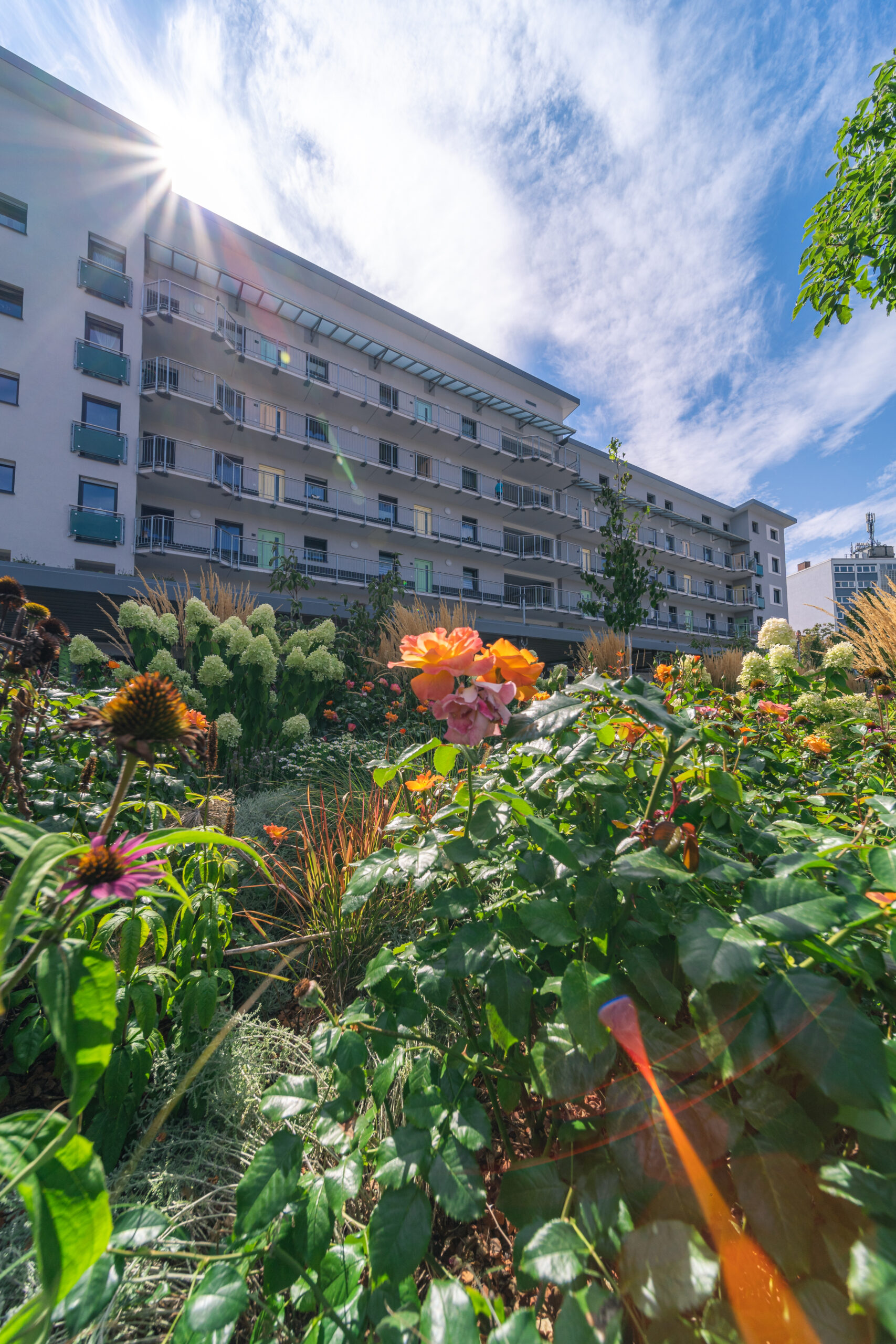 Wohnung Mieten Kaiserslautern Bau Ag
